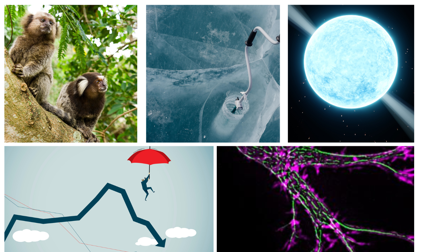 ERC Synergy Grants 2022 - project highlights|ERC