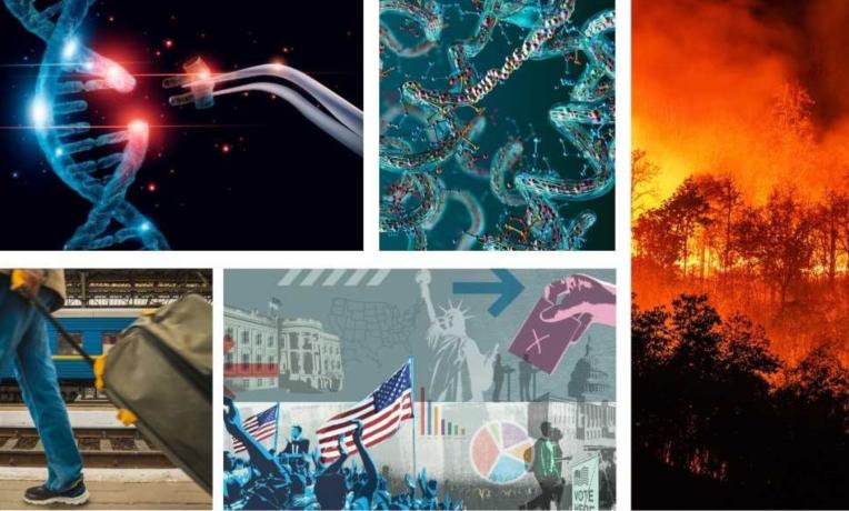 Consolidator Grants 2024: Examples of projects |ERC